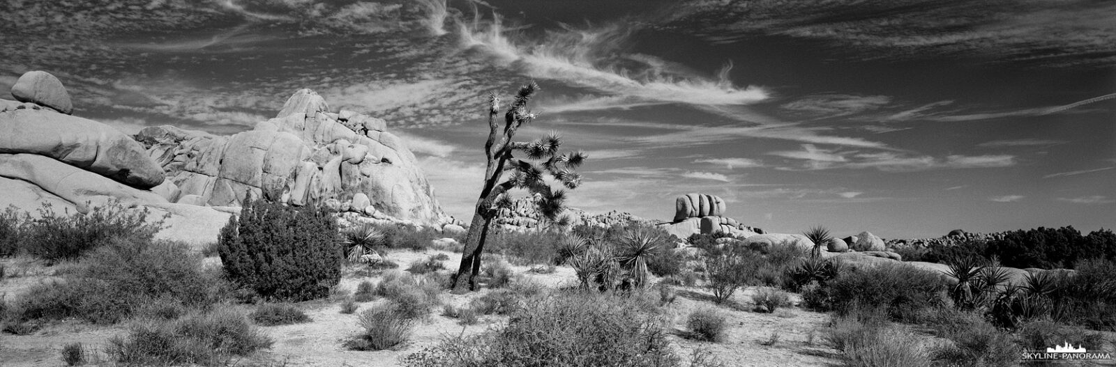 Joshua Tree National Park Kalifornien Panorama (p_01158)
